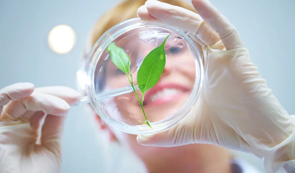 Biotecnologia em 2025: o que é -- e qual é sua aplicação