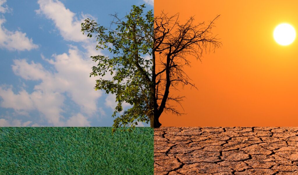 Seis atitudes que você pode adotar já para salvar o planeta